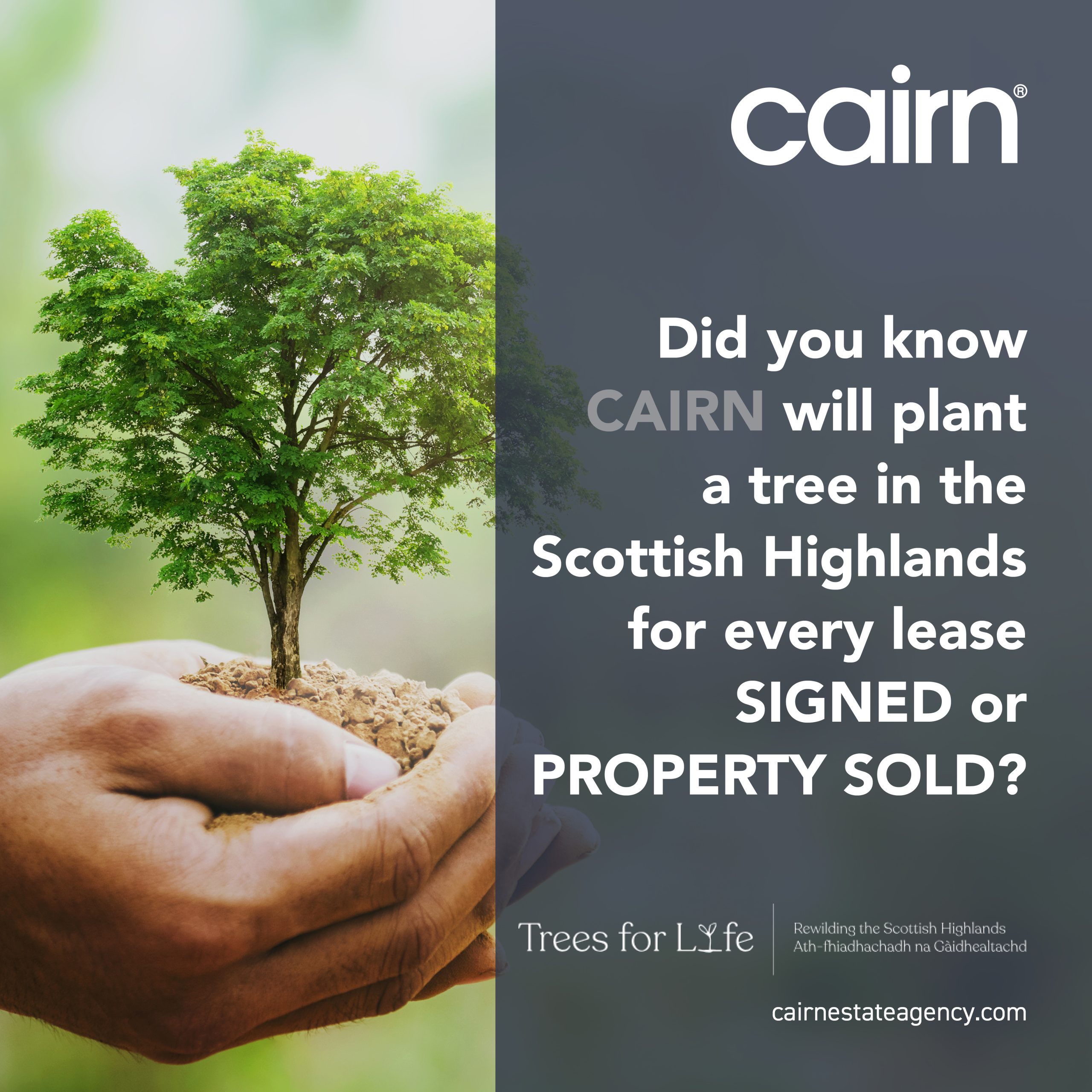 Cairn - Our Social Responsibility | Cairn Estate & Letting Agency